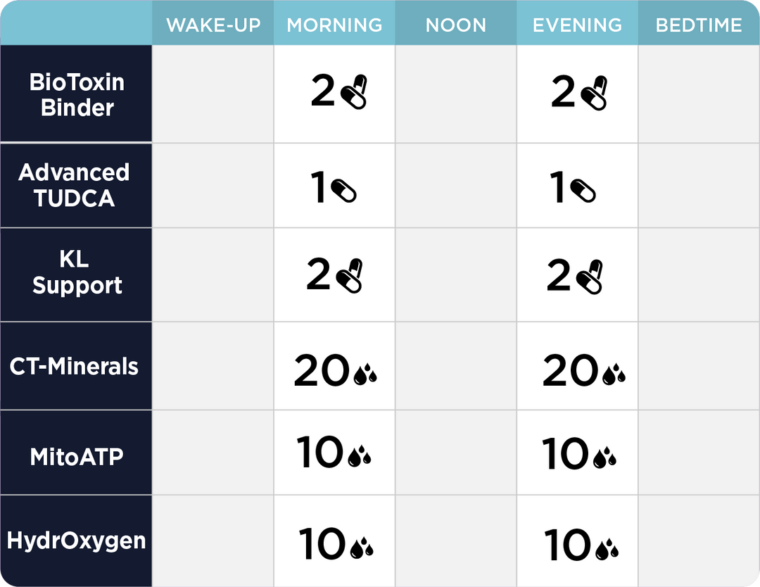 Mold Support Kit – Dr. Katrina's Online Store