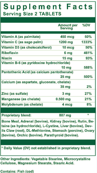 Core Level Bone Matrix – Dr. Katrina's Online Store
