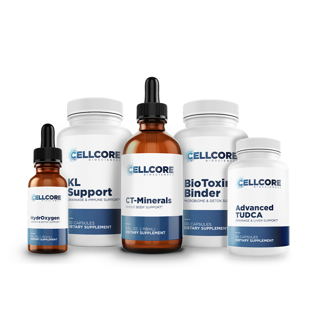 Mold Support Kit – Dr. Katrina's Online Store